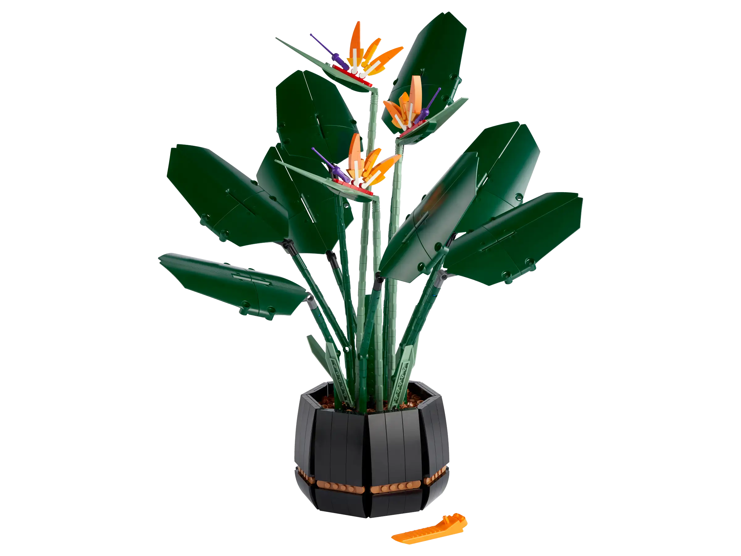 レゴ10289 ストレリチア｜ブリックナビ